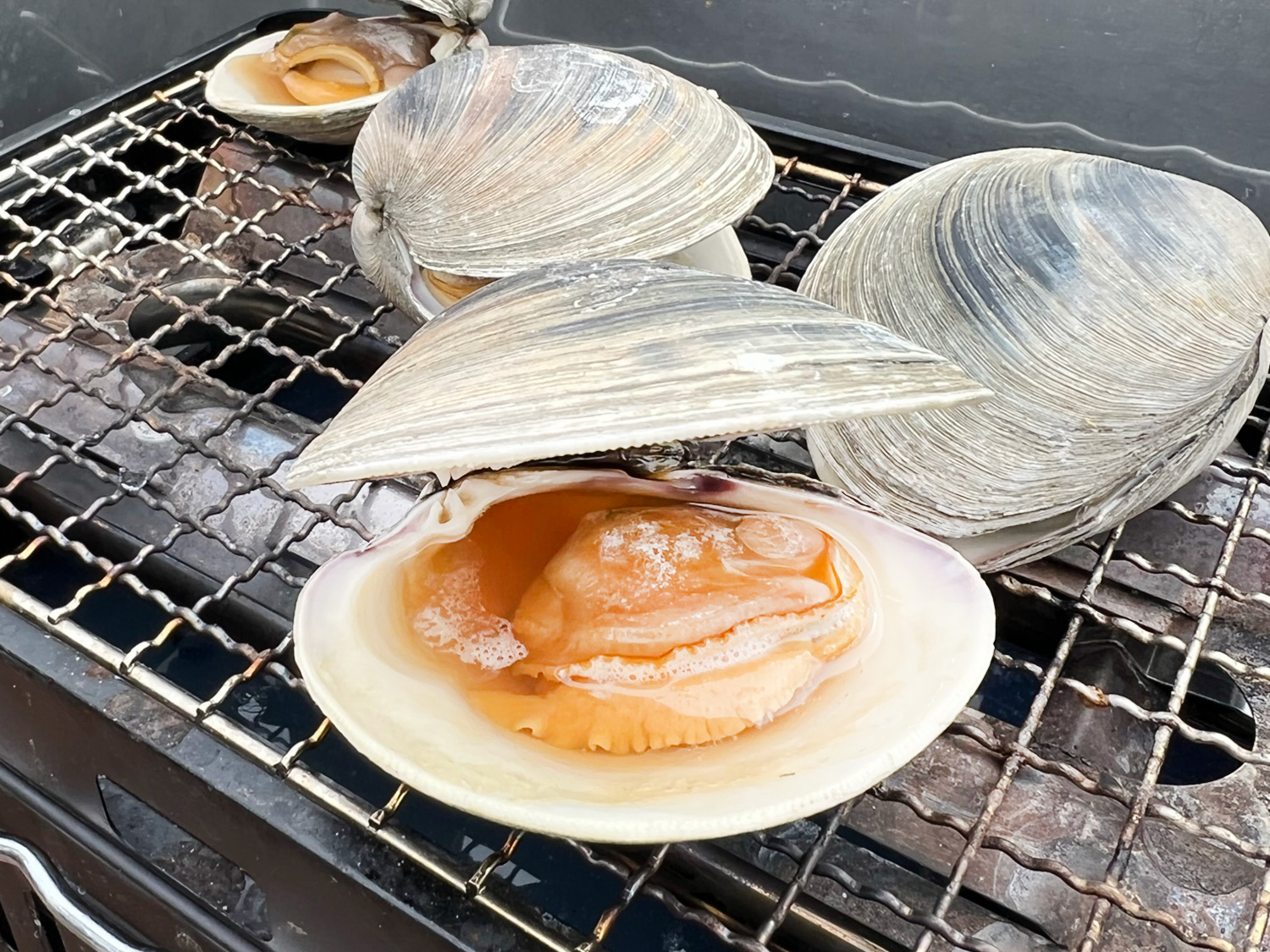 IMG_7047 | せんべろnet